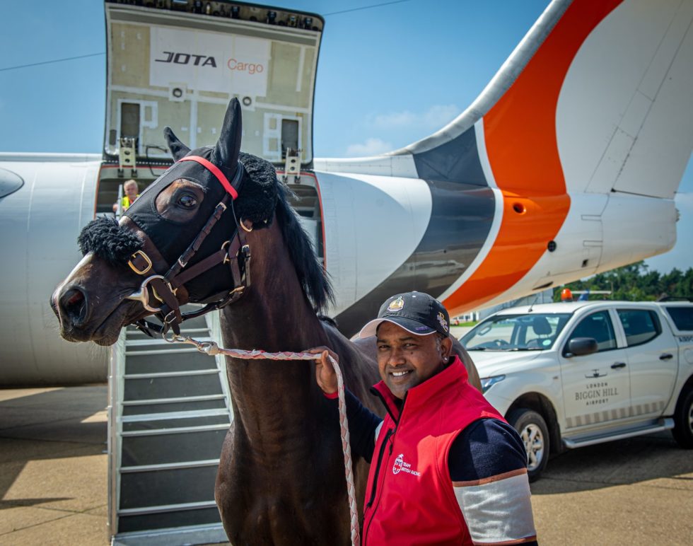 Air Transport for Horses - InstoneAir