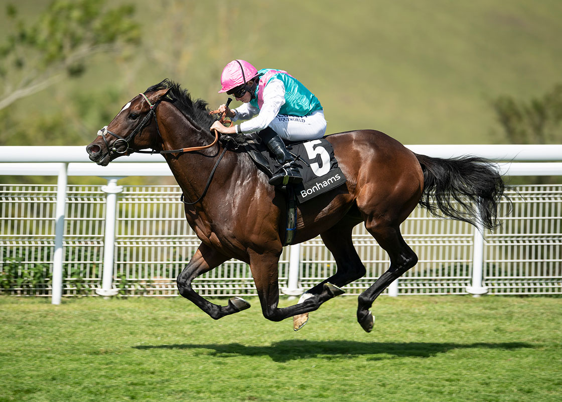 Tilsit heads to stud in Turkey - InstoneAir